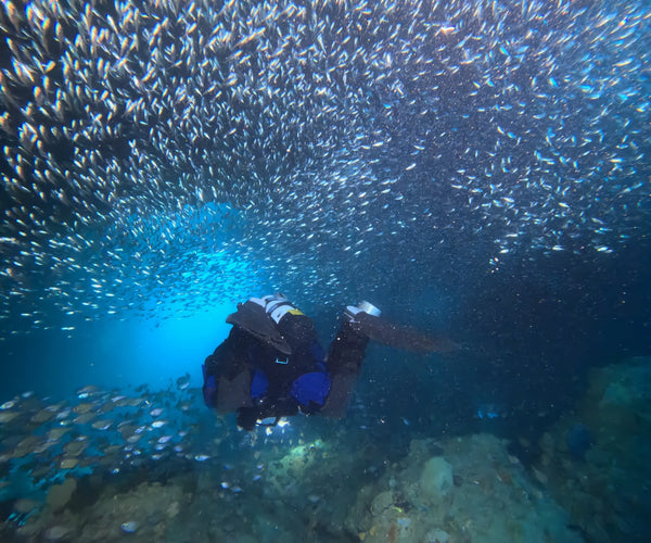 Best Back-Up Dive Torches: Stay Safe On Every Dive – Dive Lantern